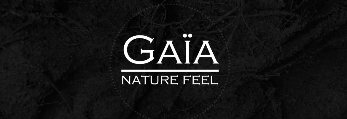 «Gaïa» Nuevo terrario a medida | DendroAcua – Acuarios, Terrarios ...